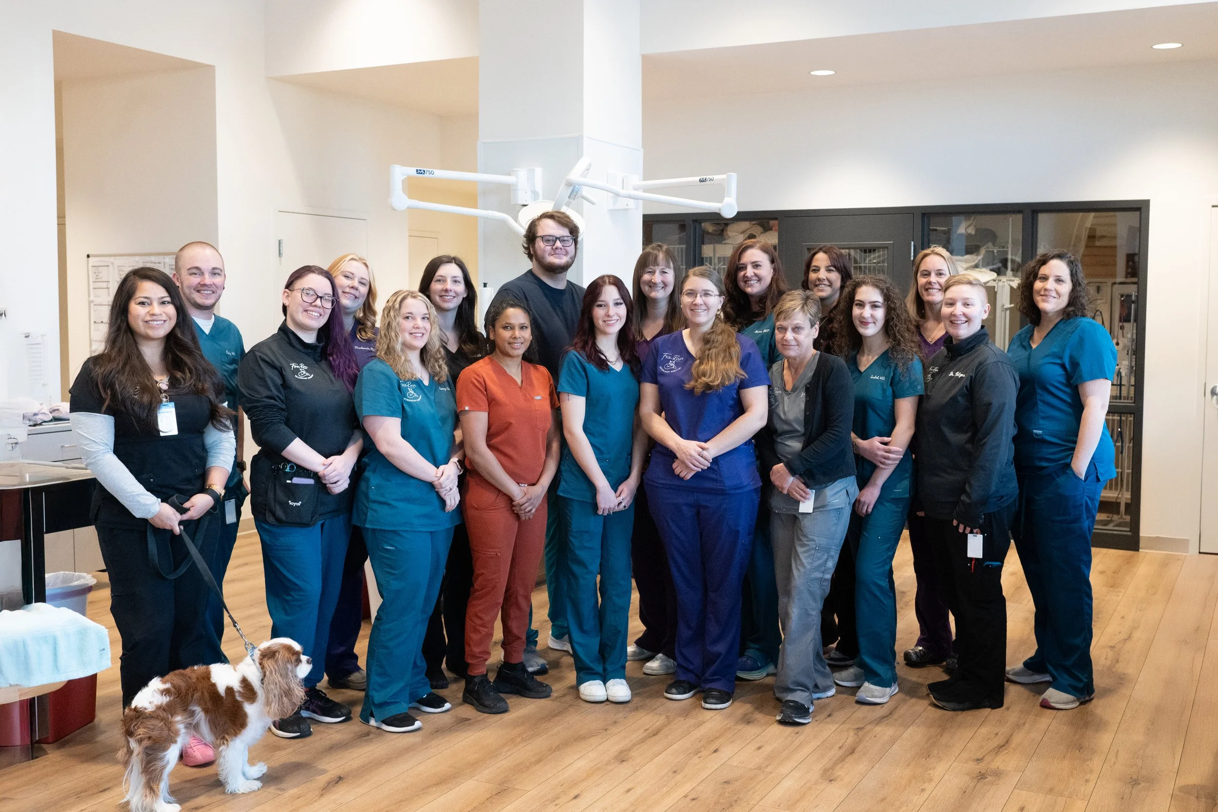 Meet Our Team | Discover Our Experts — Fox Run Veterinary Hospital