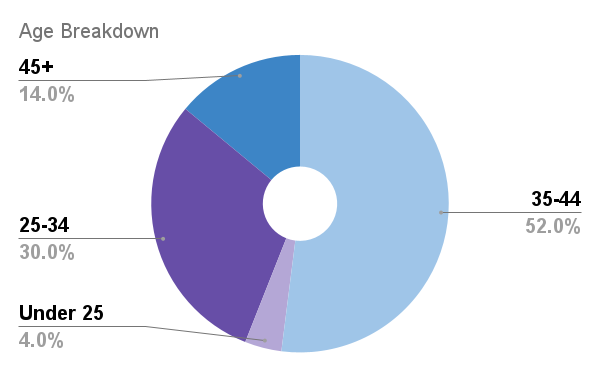 DEI Metrics - Demographic Breakdown | The Rise Journey