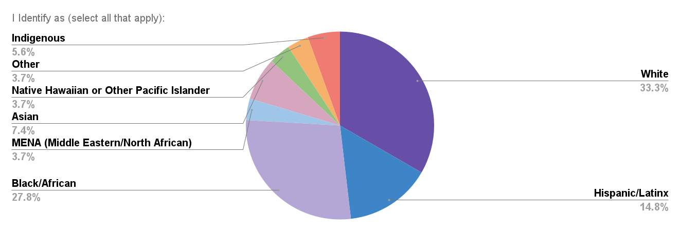 DEI Metrics - Demographic Breakdown | The Rise Journey