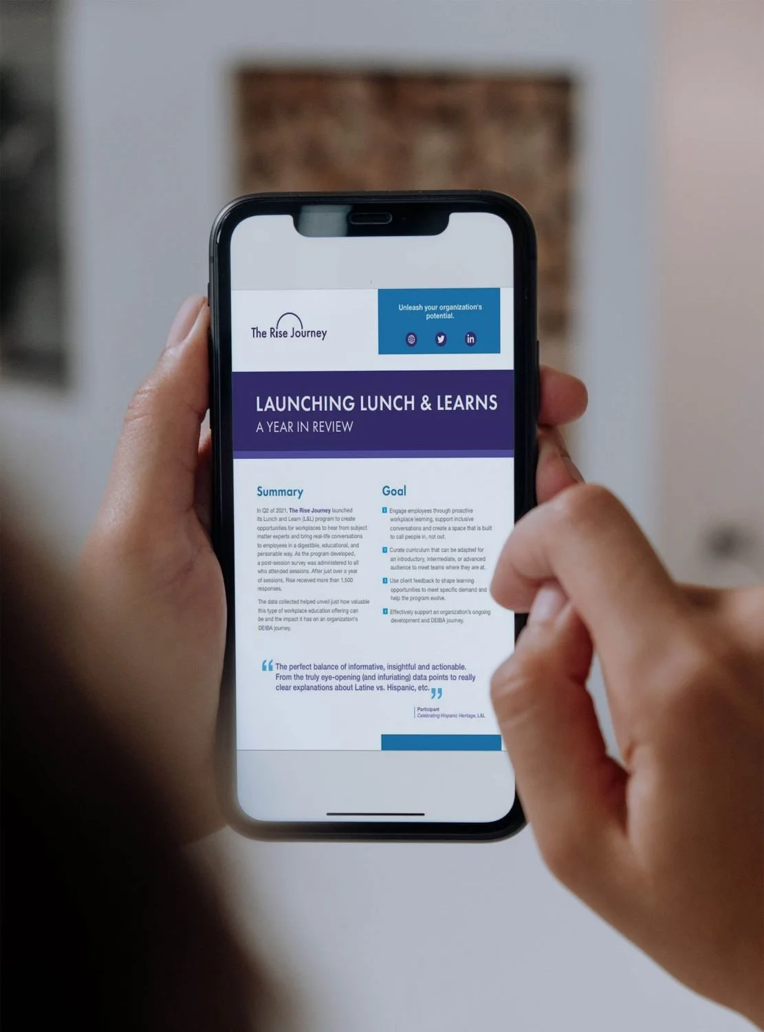 Lunch and Learns: DEIBA Education & Training | The Rise Journey