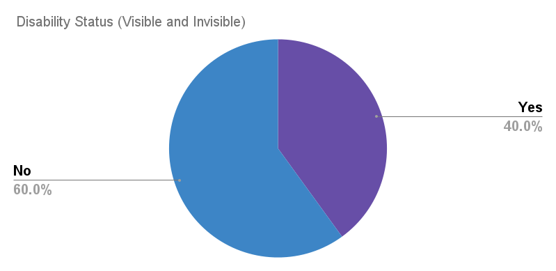 DEI Metrics - Demographic Breakdown | The Rise Journey