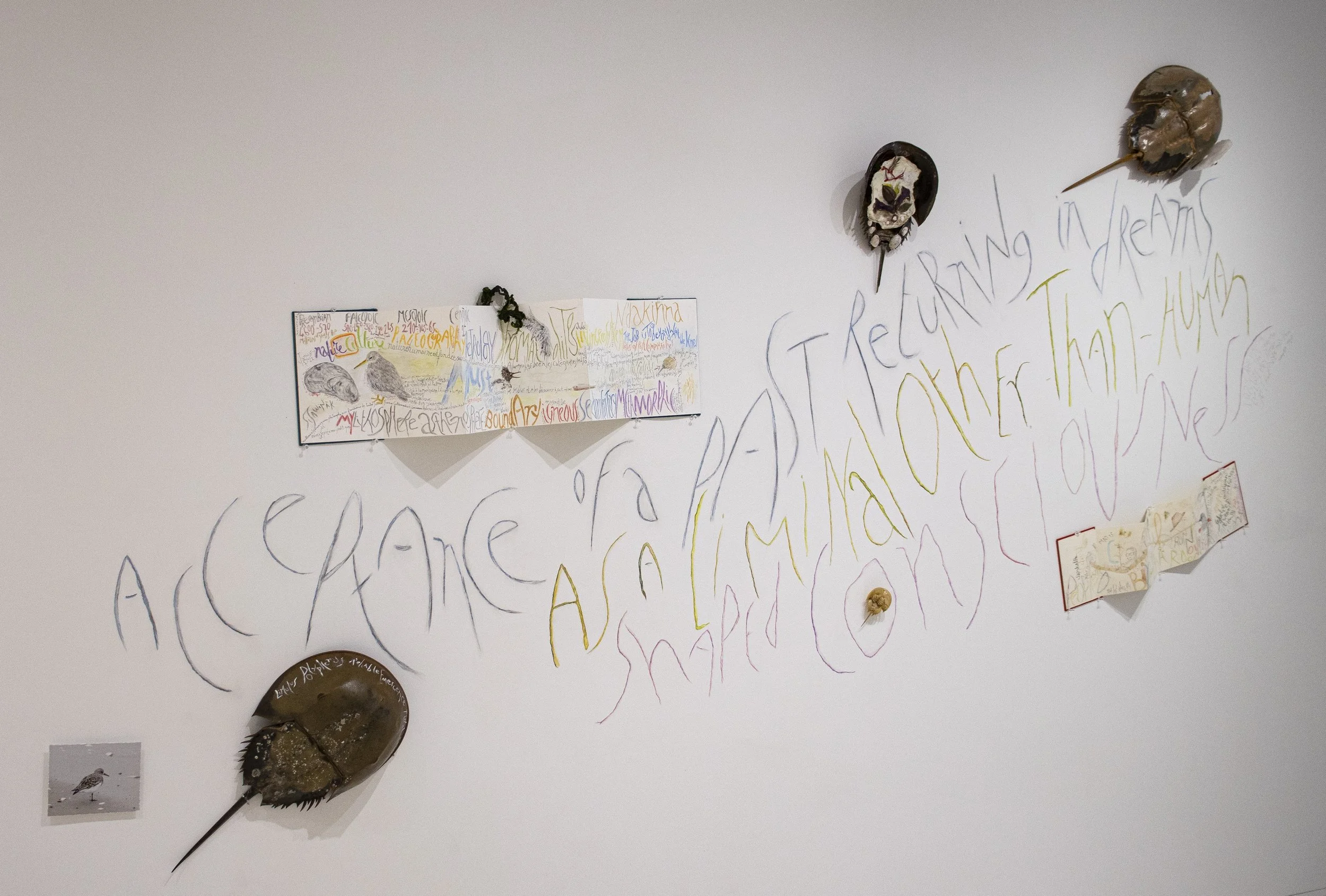 Nicole Peyrafitte — Chant de la Sirène The Journal