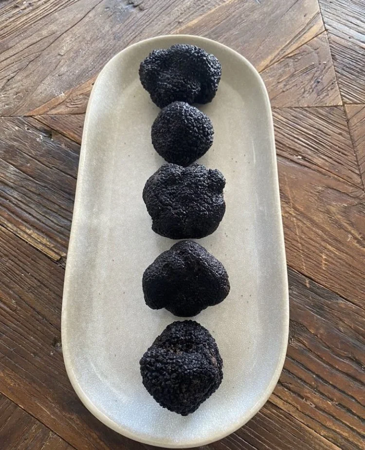 Quercus Truffles