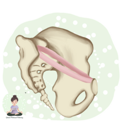 Inlet Pelvis-Optimal Maternal Positioning