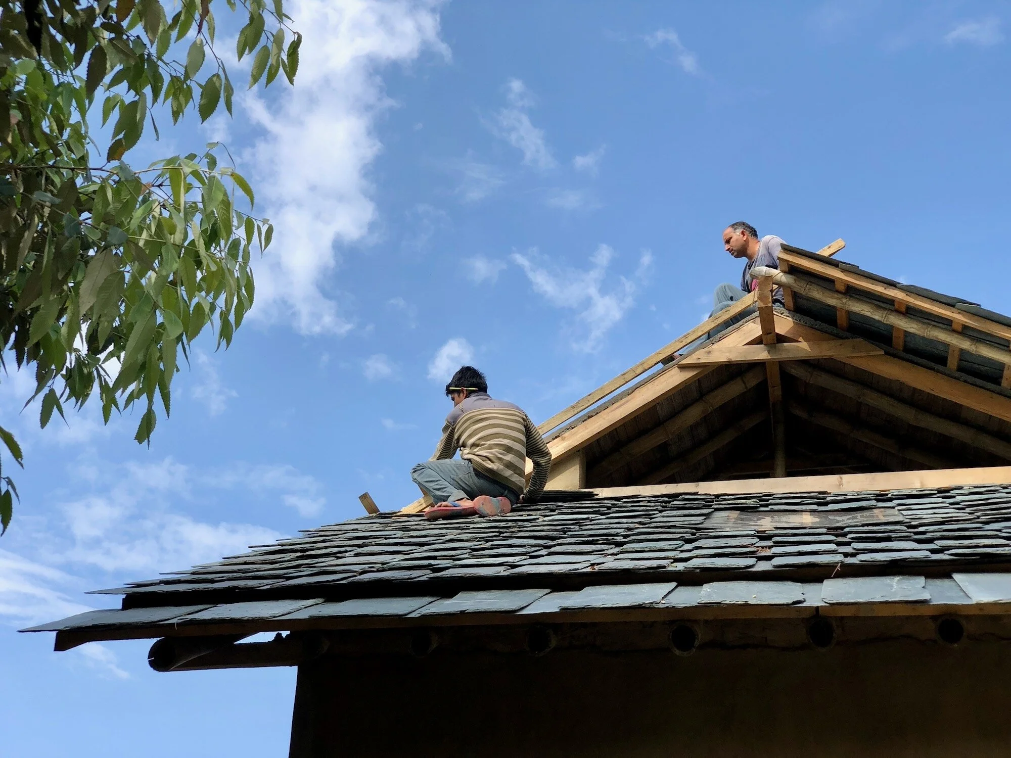 Dharmalaya : Natural Building | Build Sustainably Today—Learn More ...