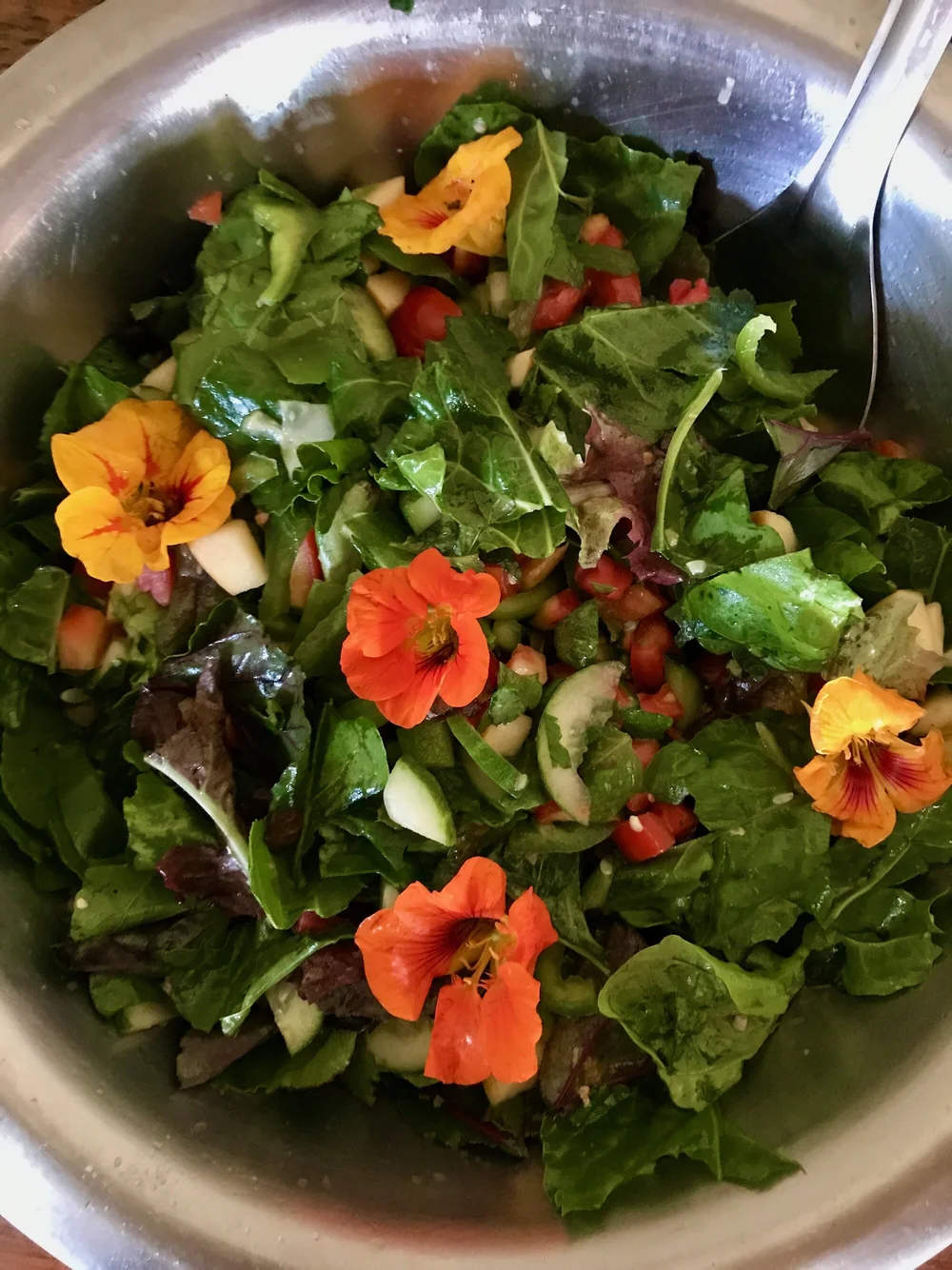 Organic Food-growing & Natural Landscaping — Dharmalaya