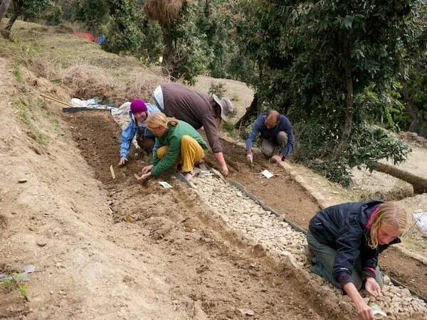 Planting a Vertical Orchard — Dharmalaya