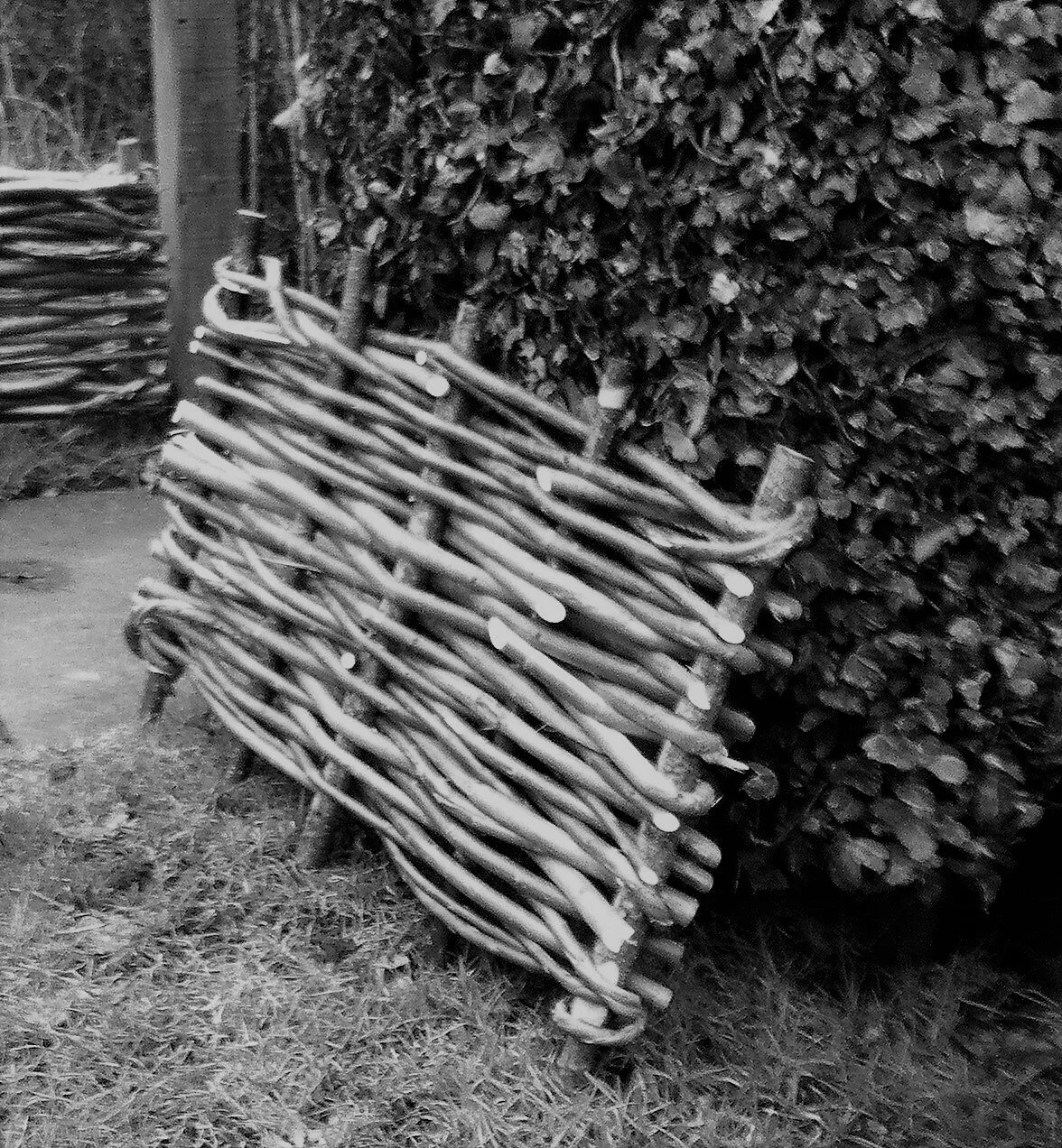 Hazel & Willow Products — Hedgeandhazel.co.uk