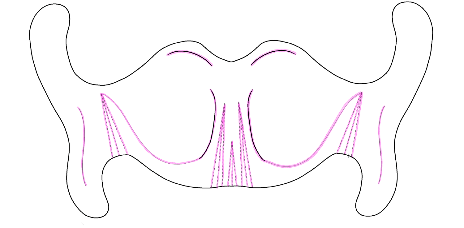 Make your own larynx — Vocology Ireland
