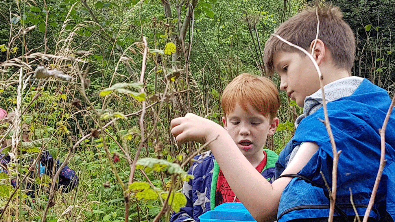 Forest School — Big Wild Life