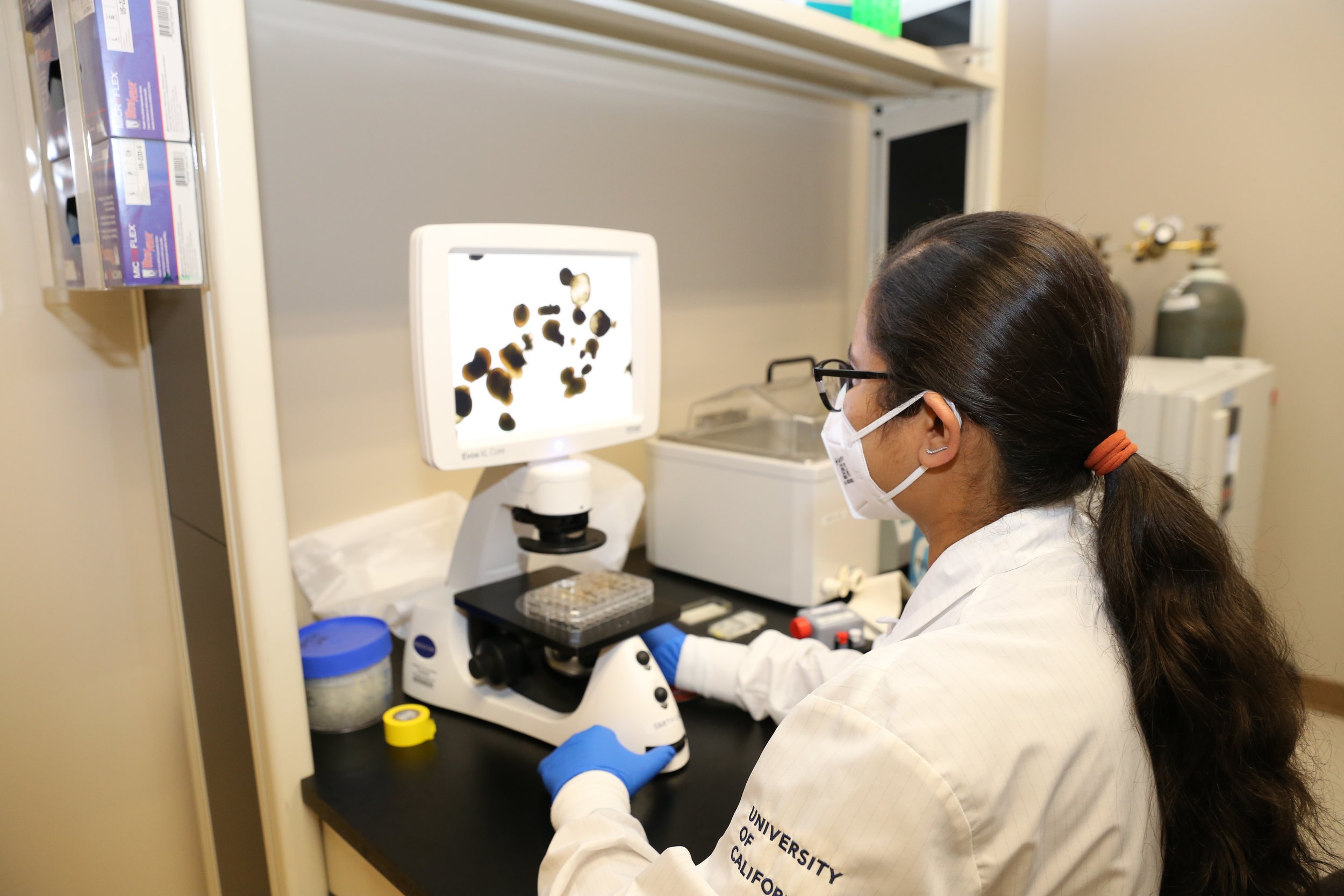 TEAM — Smith Lab @ UCI