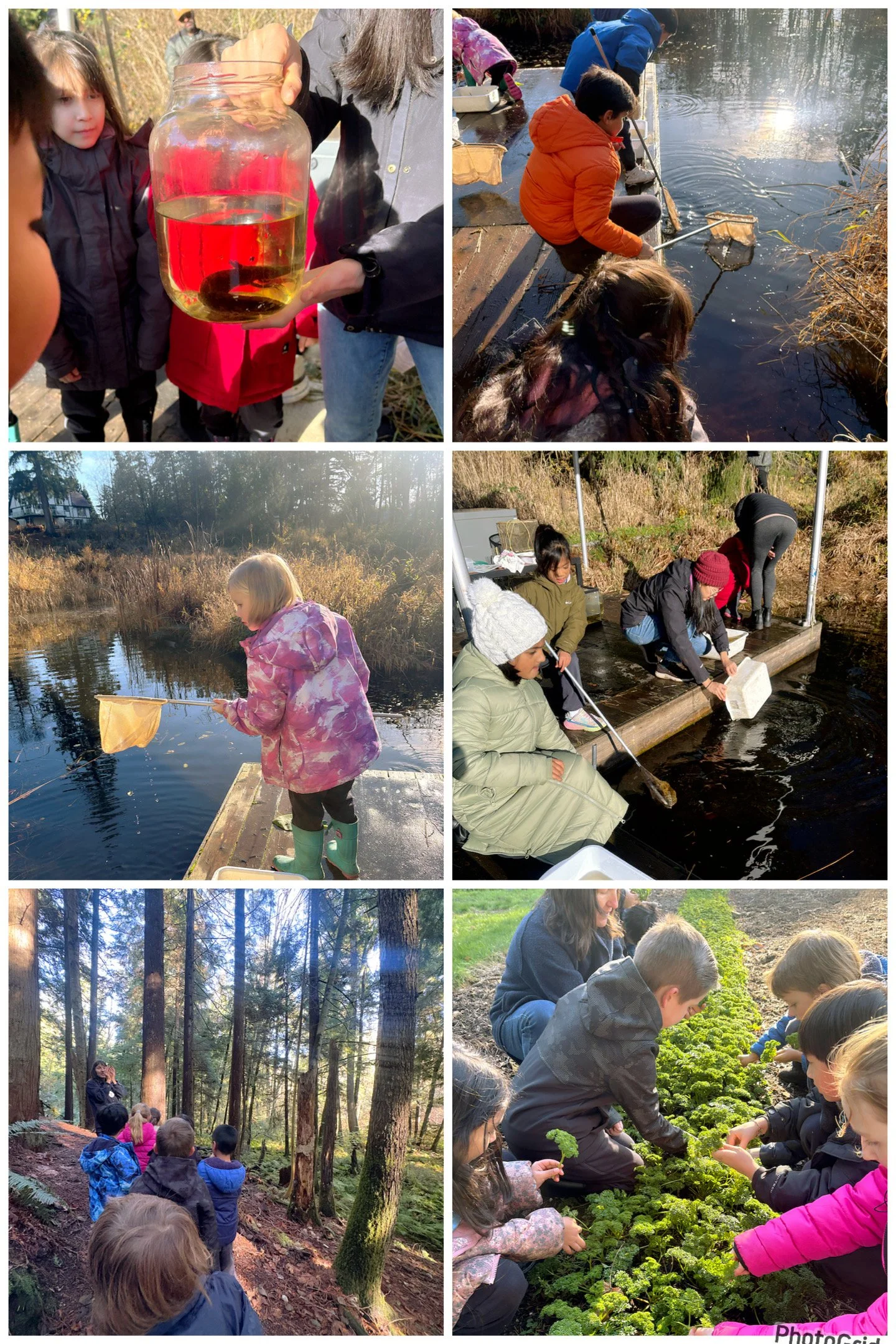 Grade 2A @ A Rocha Farm | Star of the Sea School | Surrey, British Columbia