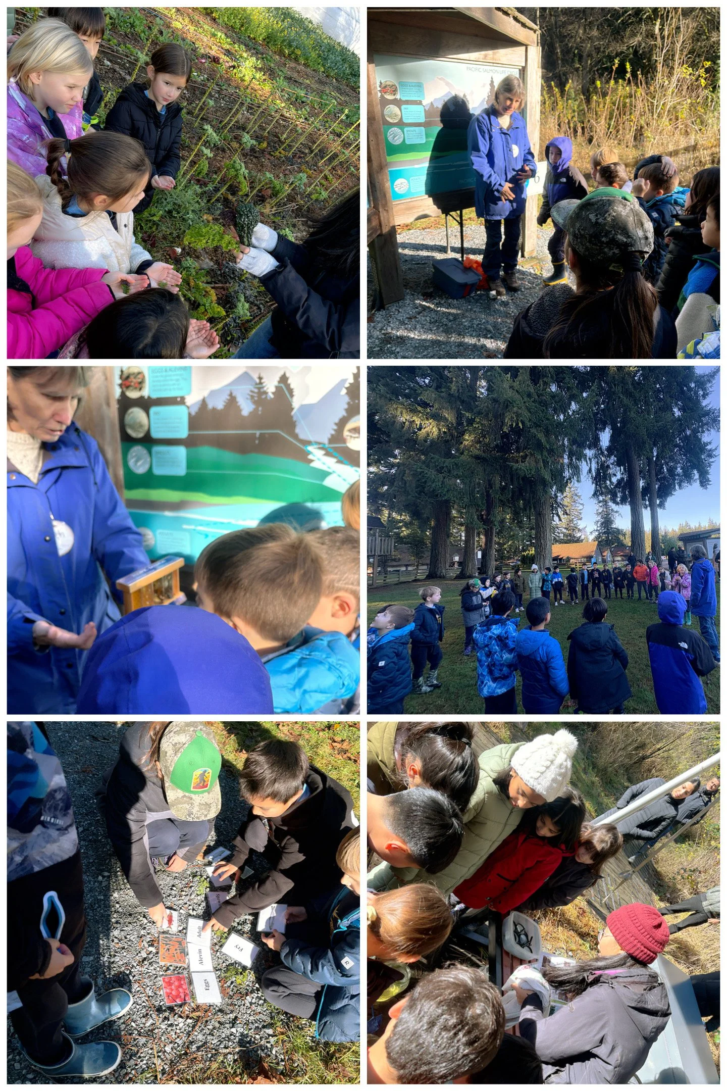 Grade 2A @ A Rocha Farm | Star of the Sea School | Surrey, British Columbia