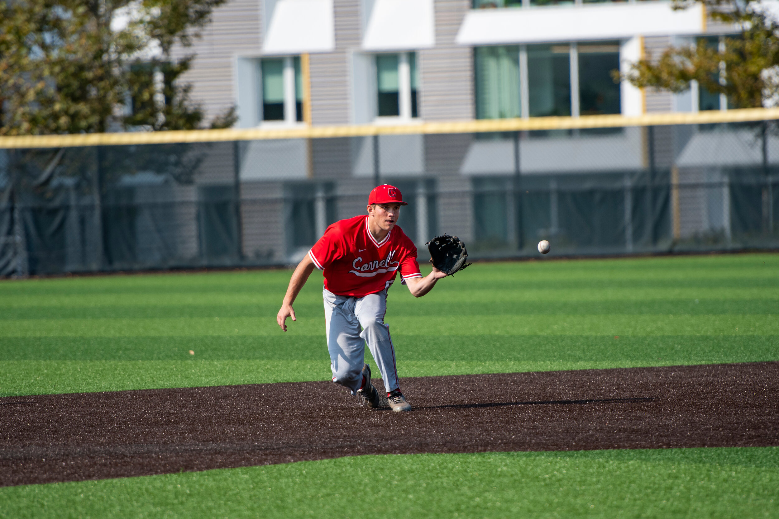 Team — Cornell Baseball