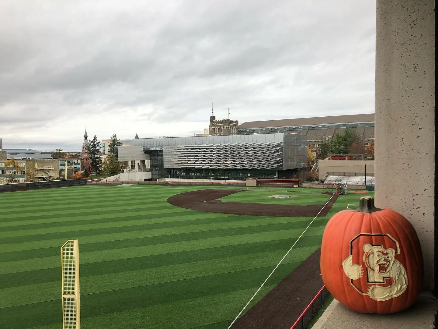 Newsletter — Cornell Baseball