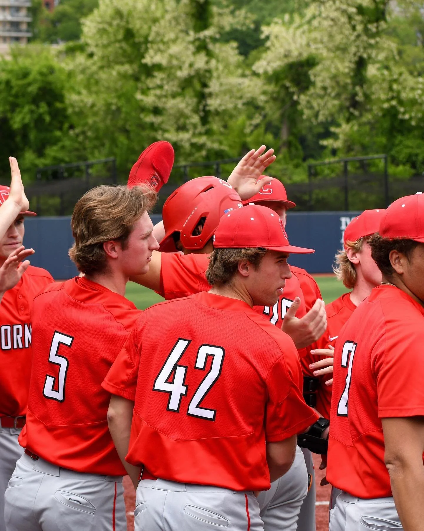 Newsletter — Cornell Baseball