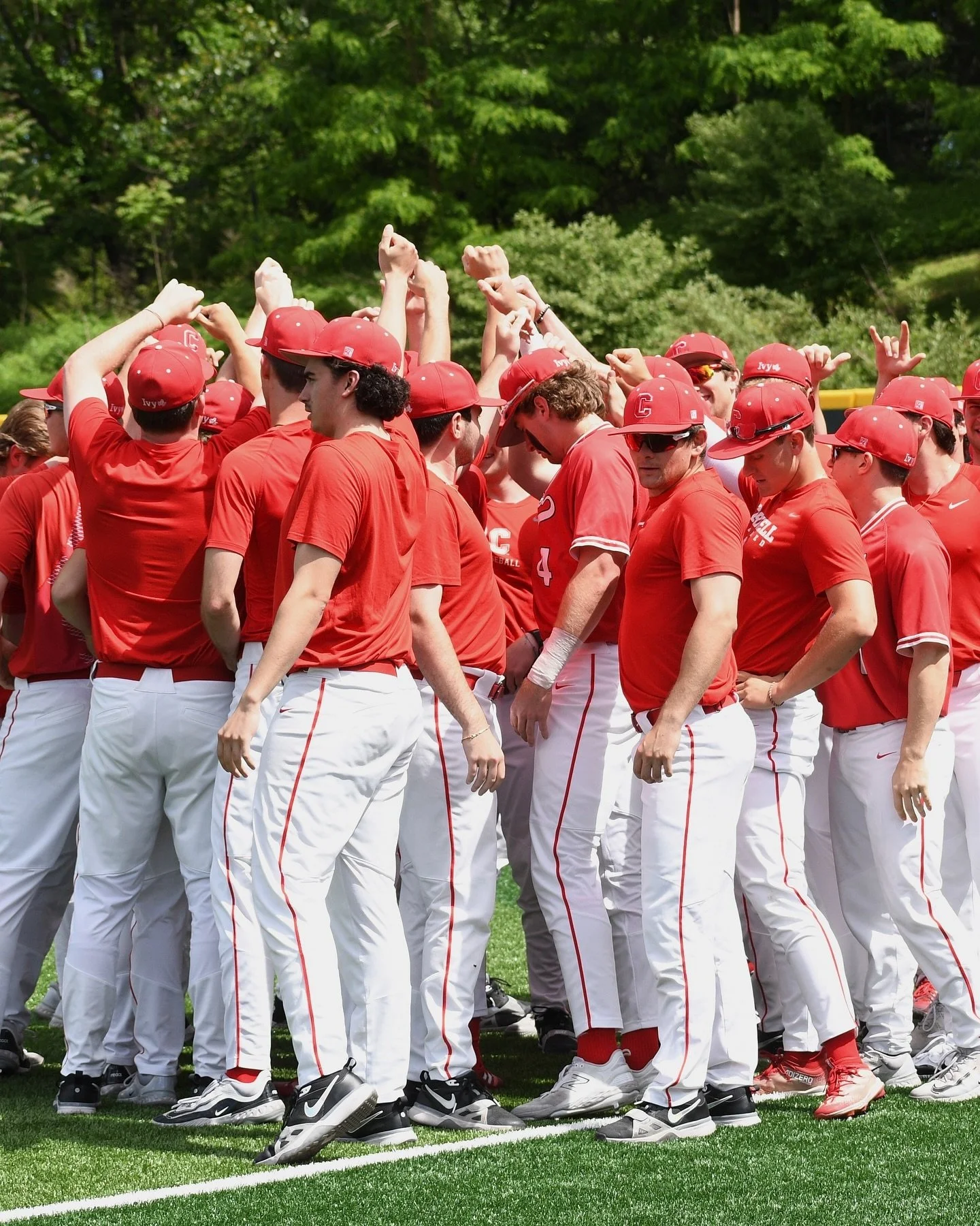 Newsletter — Cornell Baseball