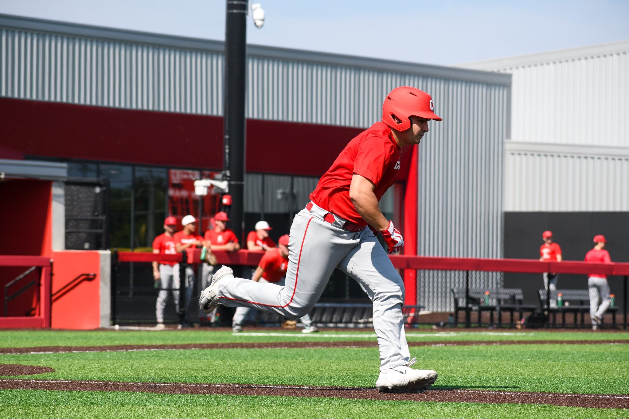 Team — Cornell Baseball