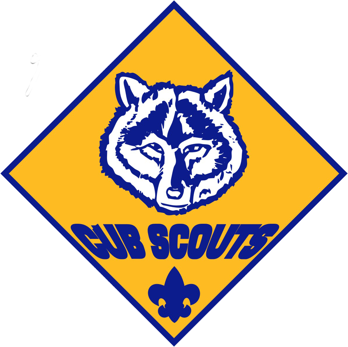 Cub Scout Values