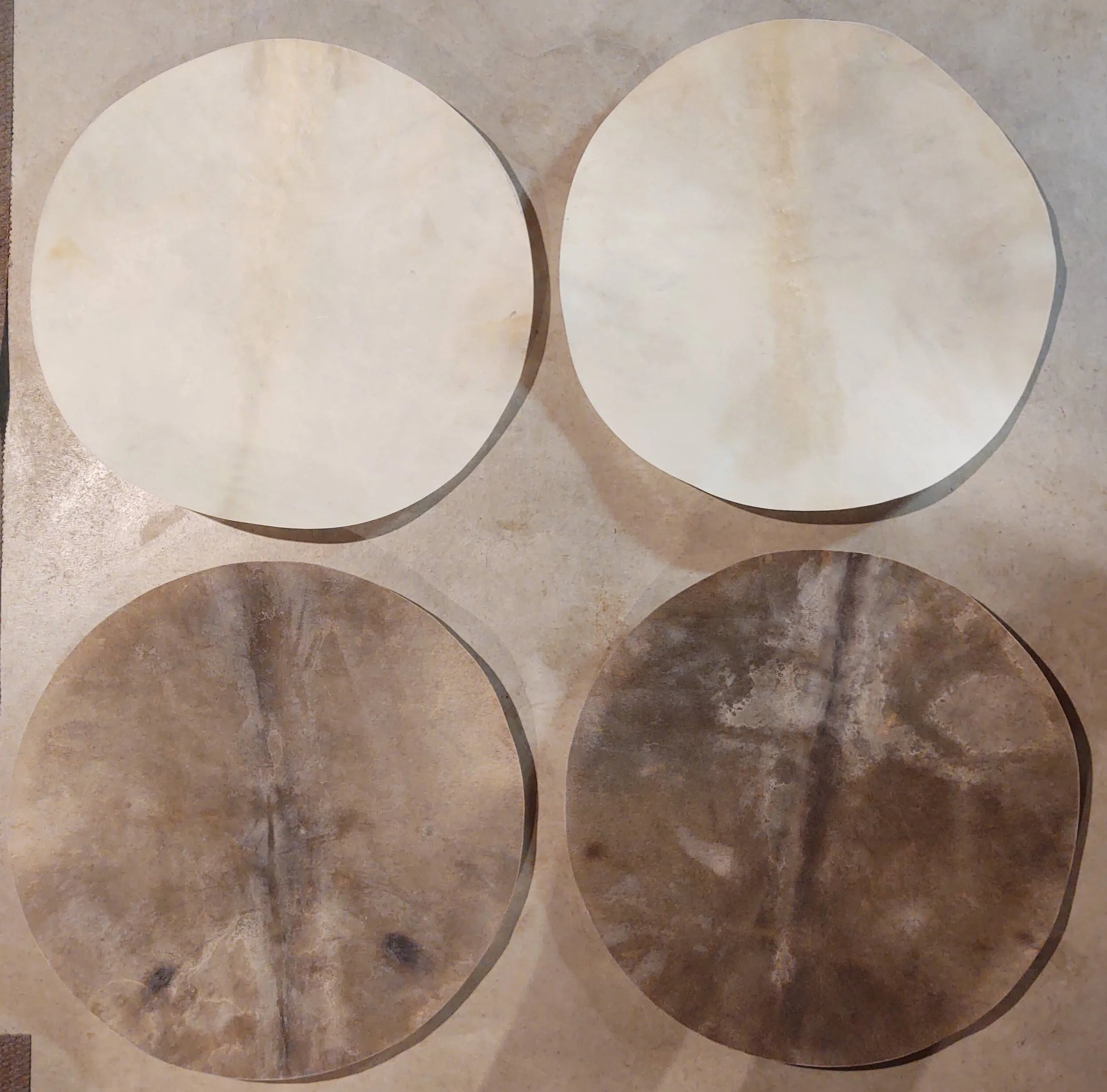 Mountain Goat hides — Graham Thorbrogger Music