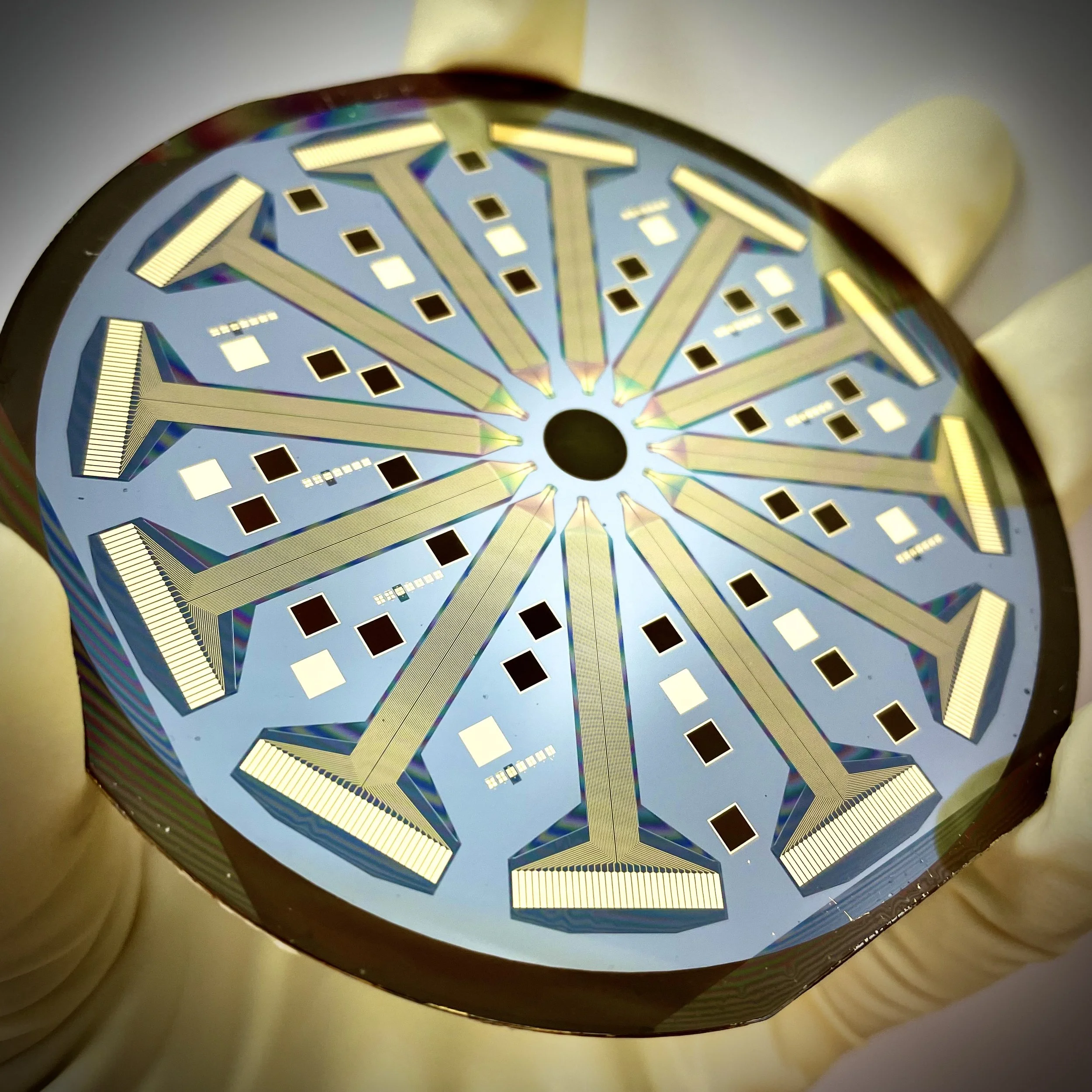 Research — Gonzales Lab