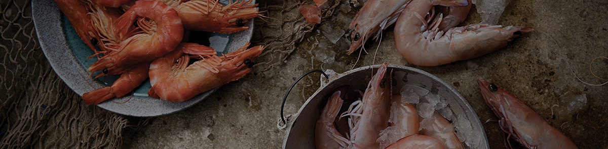 Our Products — PFD Foods