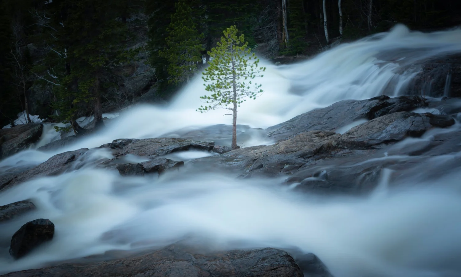 How to Use Contrast in Photography — Intricate Explorer | Adventure ...