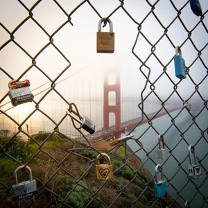 How to Use Patterns in Your Photography — Intricate Explorer ...