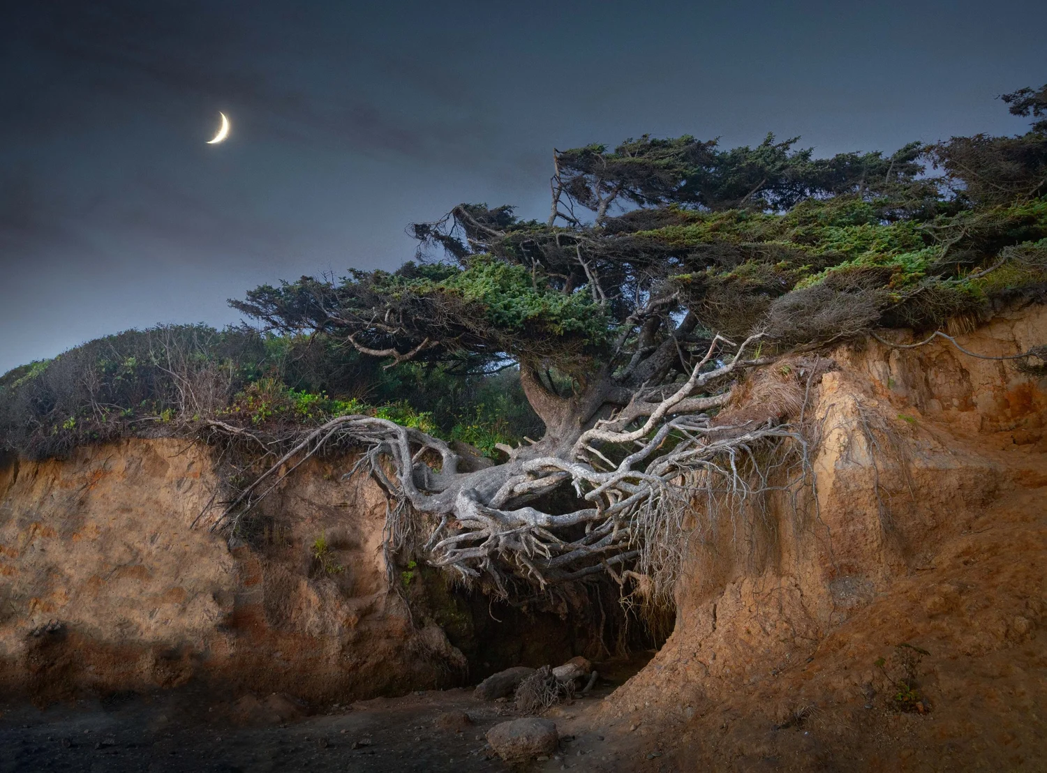 How Harmony Controls Your Photography — Intricate Explorer | Adventure ...