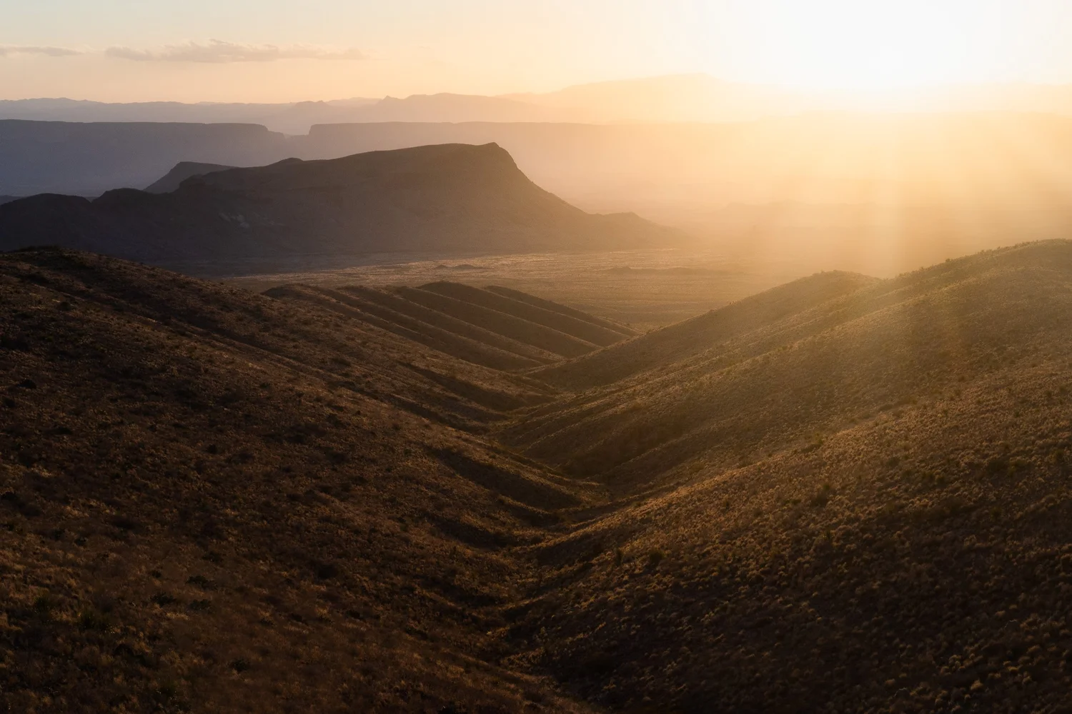 All The Photography Slang You've Ever Wanted to Know — Intricate ...