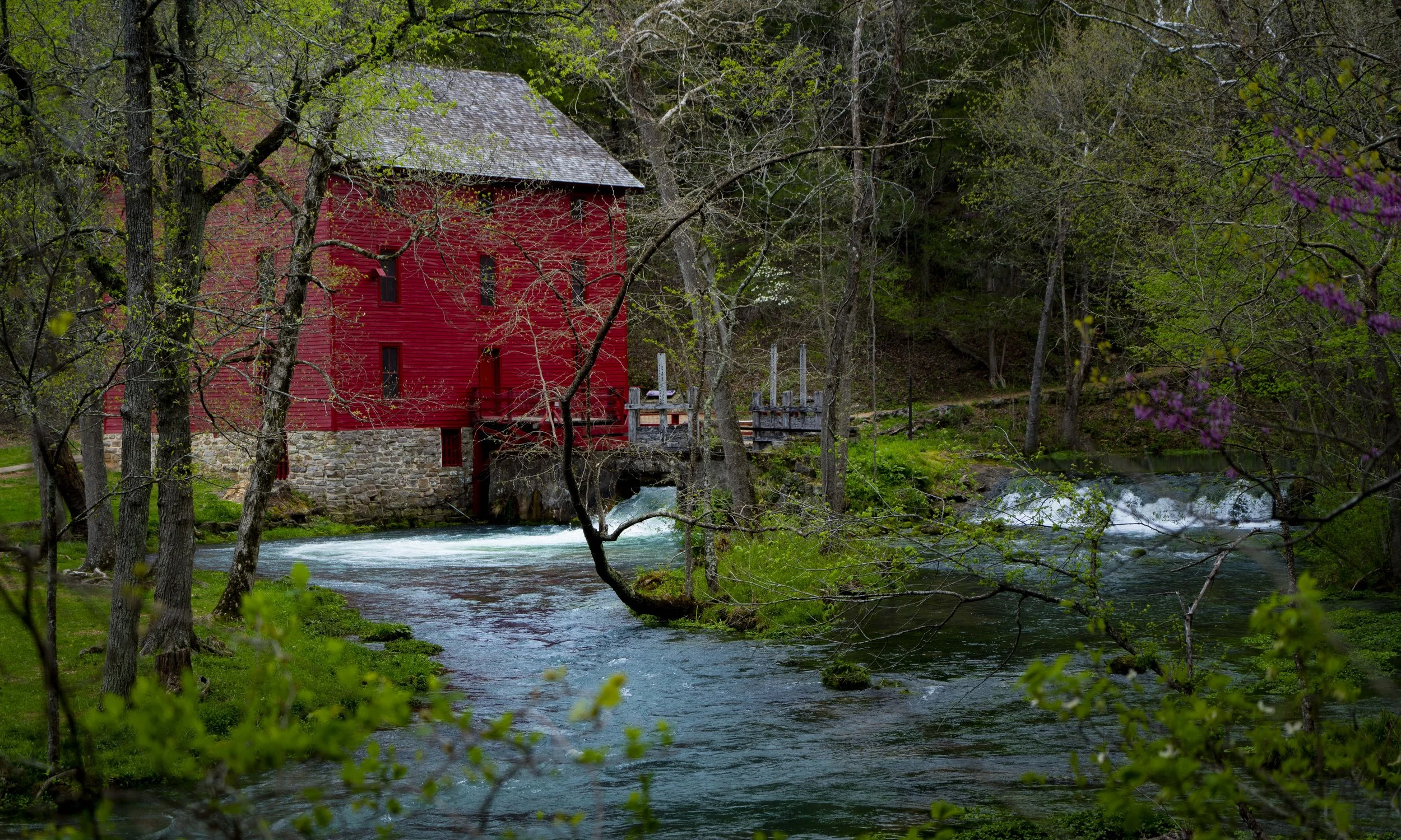 How Shapes Secretly Control the Way We See Photos — Intricate Explorer ...
