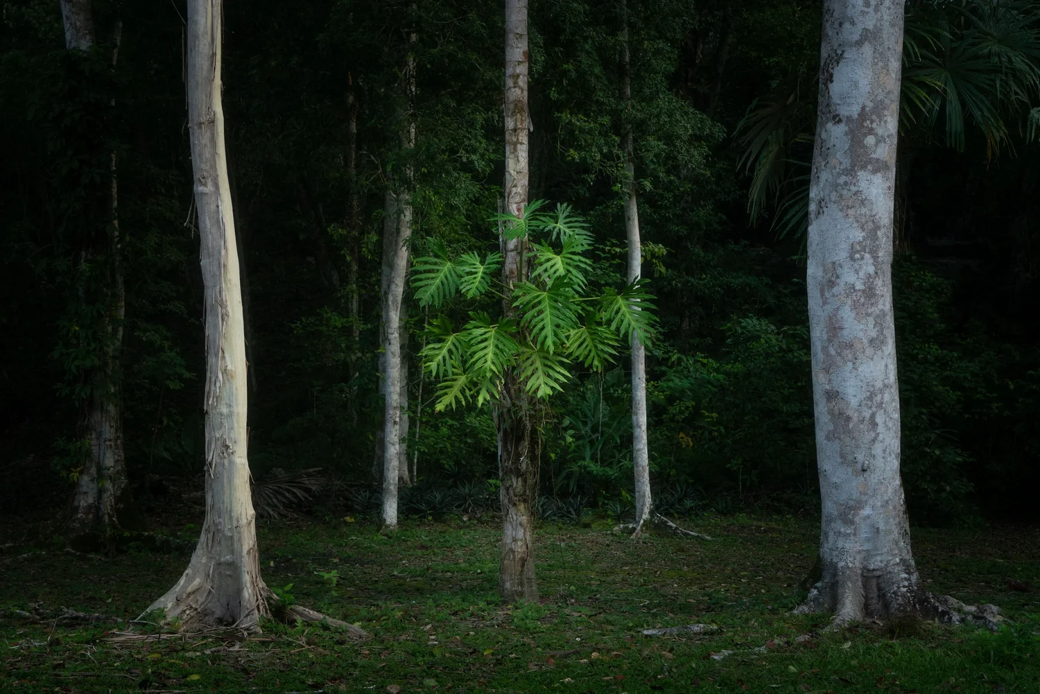 7 Unique Ways to Balance Your Photo Composition — Intricate Explorer ...
