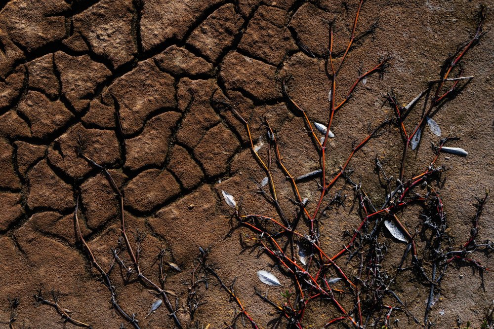 How to Incorporate Variety into Photography — Intricate Explorer ...