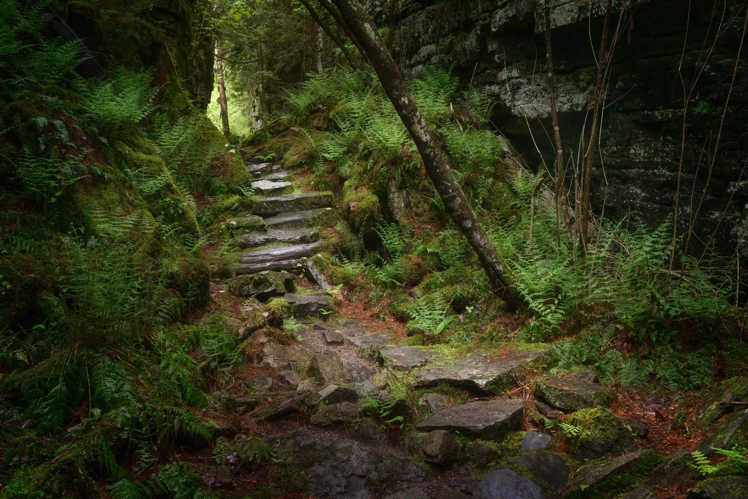 Ausable Chasm — Intricate Explorer | Adventure Photography