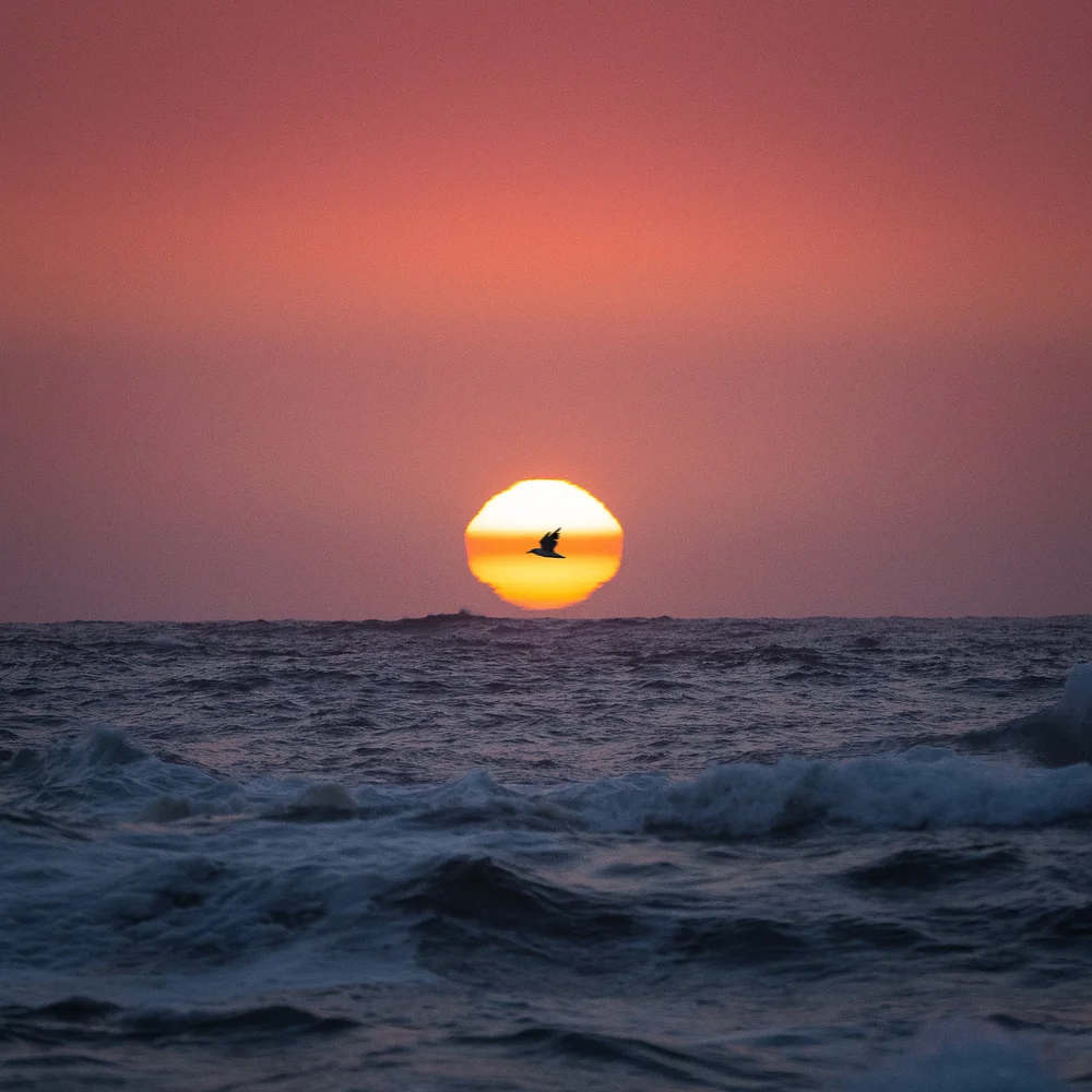 How Shapes Secretly Control the Way We See Photos — Intricate Explorer ...