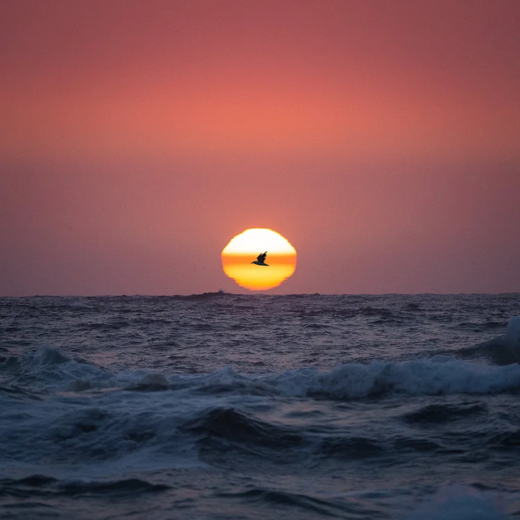 How to Use Contrast in Photography — Intricate Explorer | Adventure ...