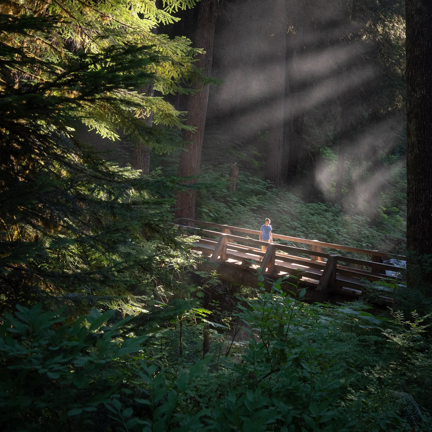 All The Photography Slang You've Ever Wanted to Know — Intricate ...
