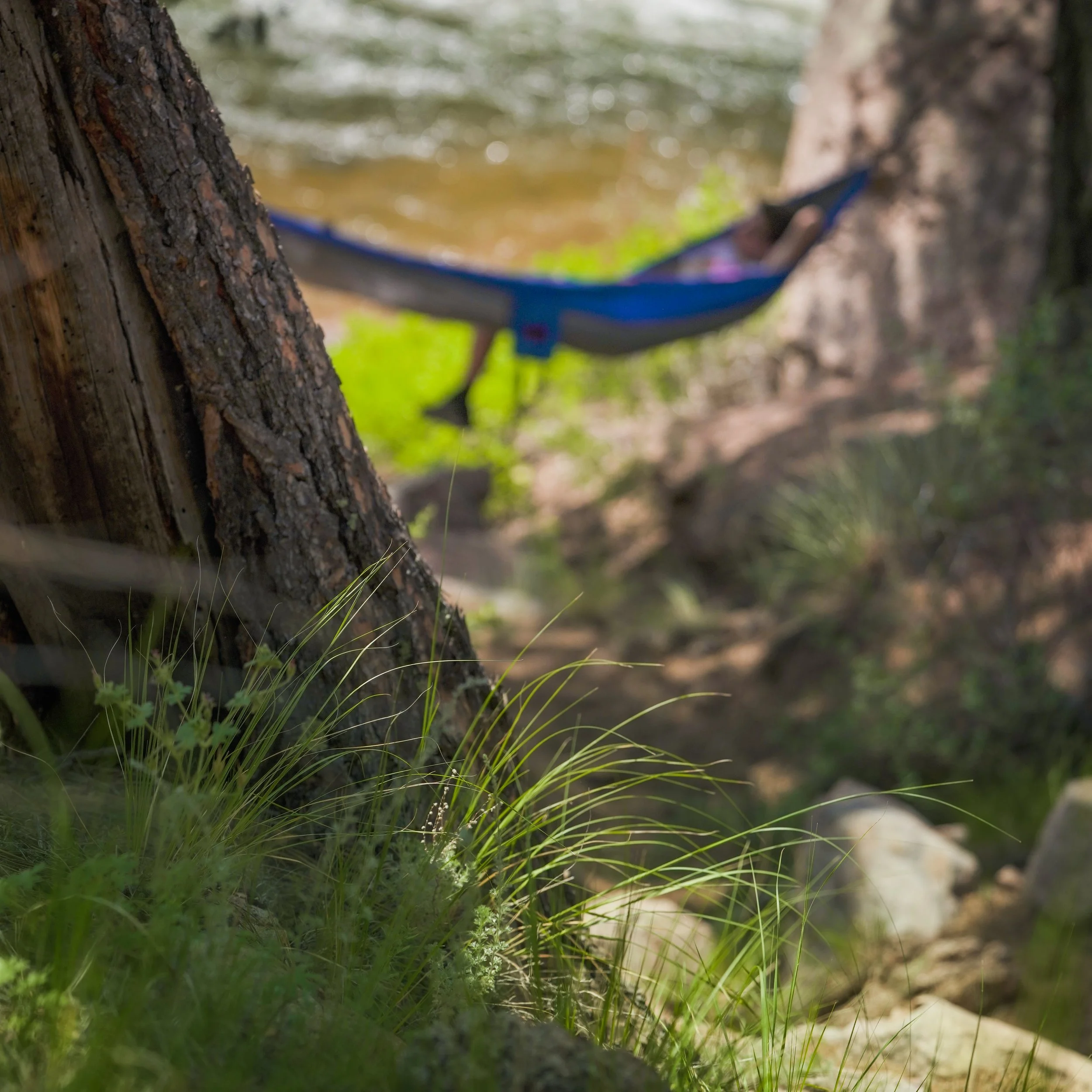 How to Use Contrast in Photography — Intricate Explorer | Adventure ...