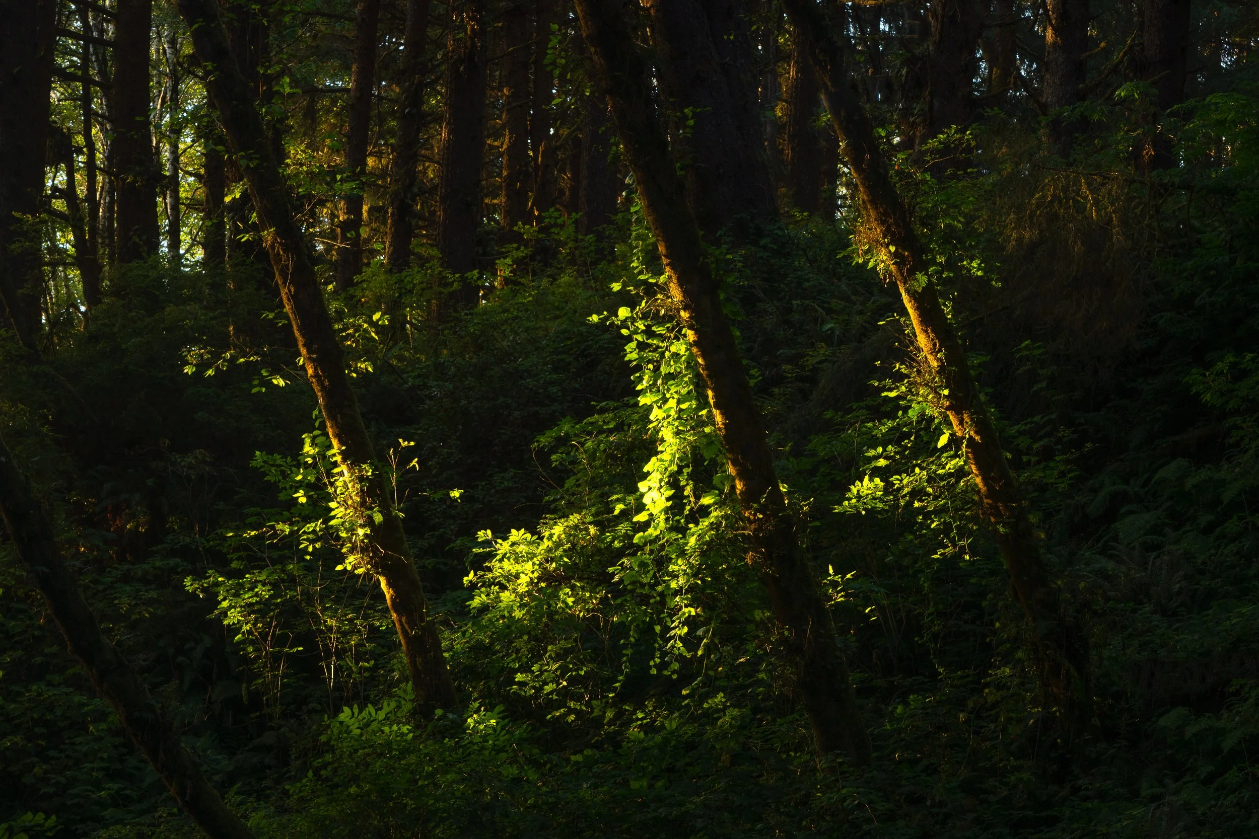 How to Incorporate Variety into Photography — Intricate Explorer ...