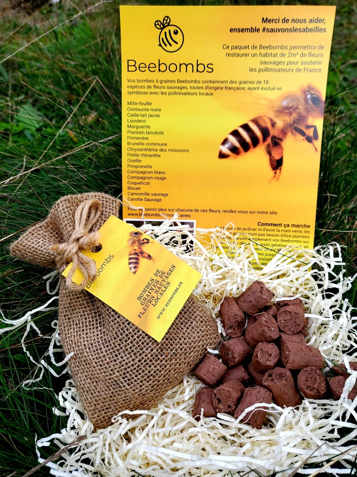 1 paquet de Beebombs — Beebombs FR