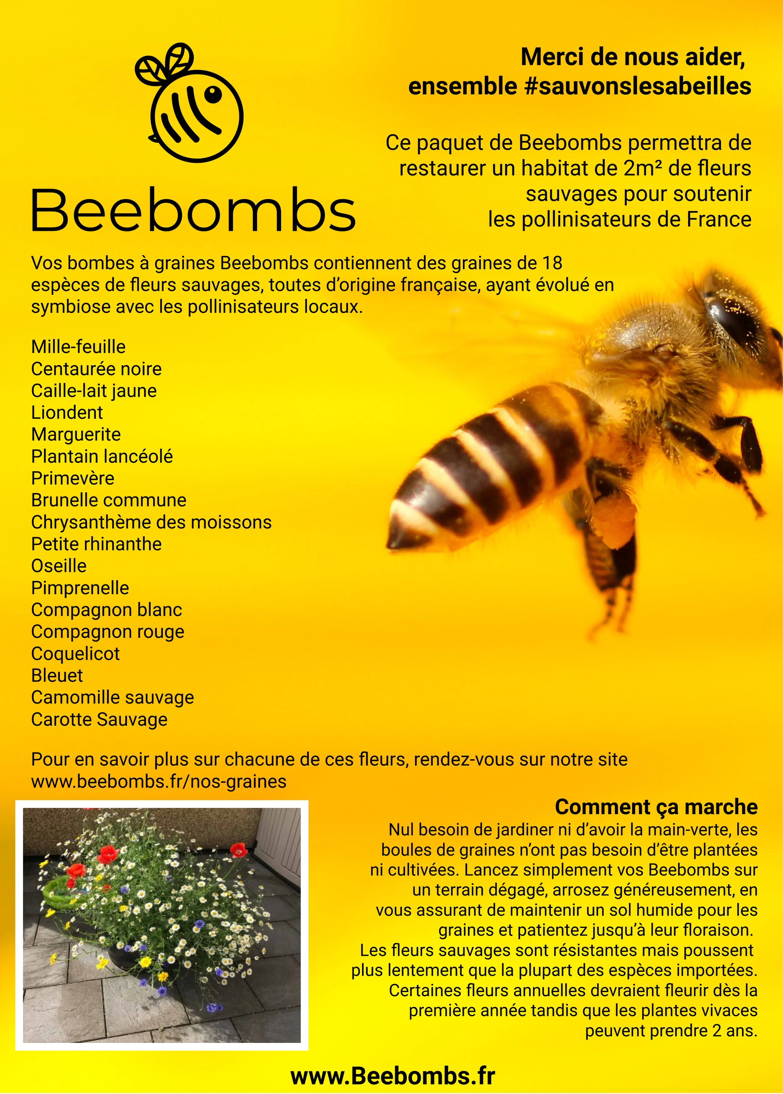 Nos Graines — Beebombs FR