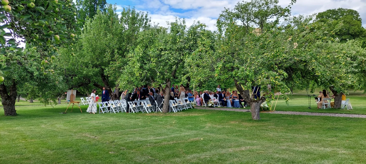 Dr Abiosè M O Haara Fine Art