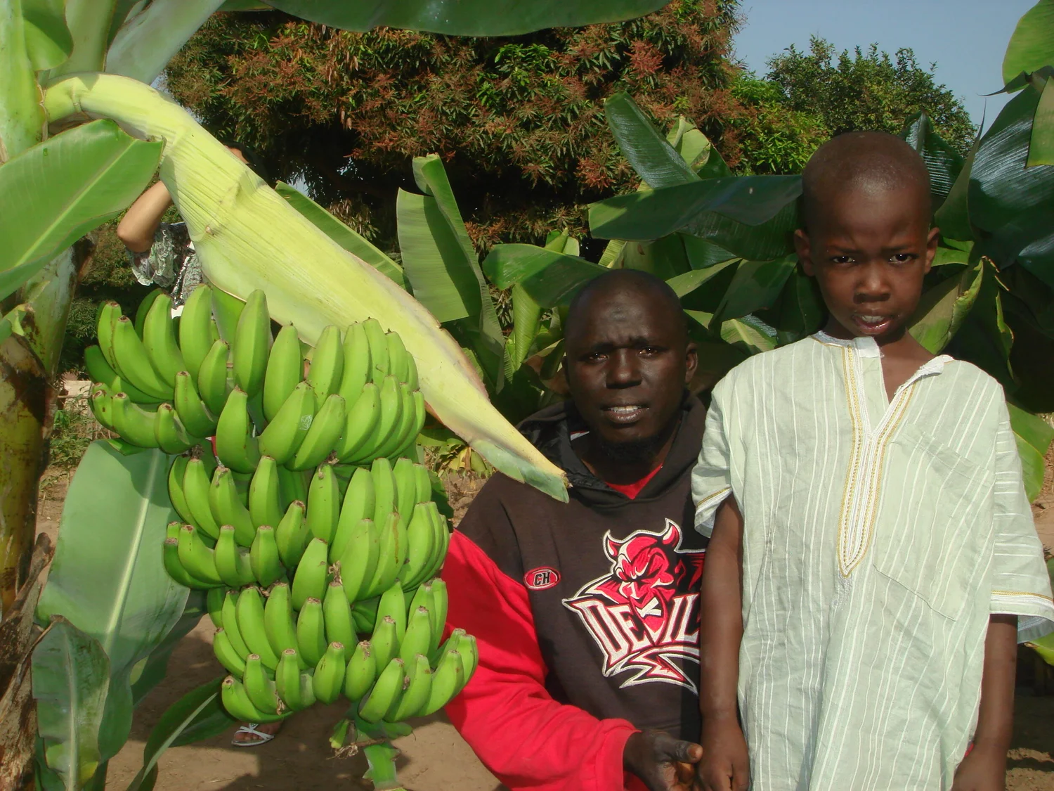 Sustainable Projects — Project Gambia