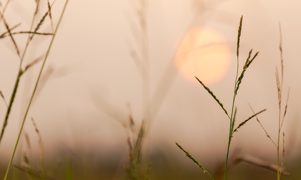 Global Week of Prayer 2025 — Vintage Church LA