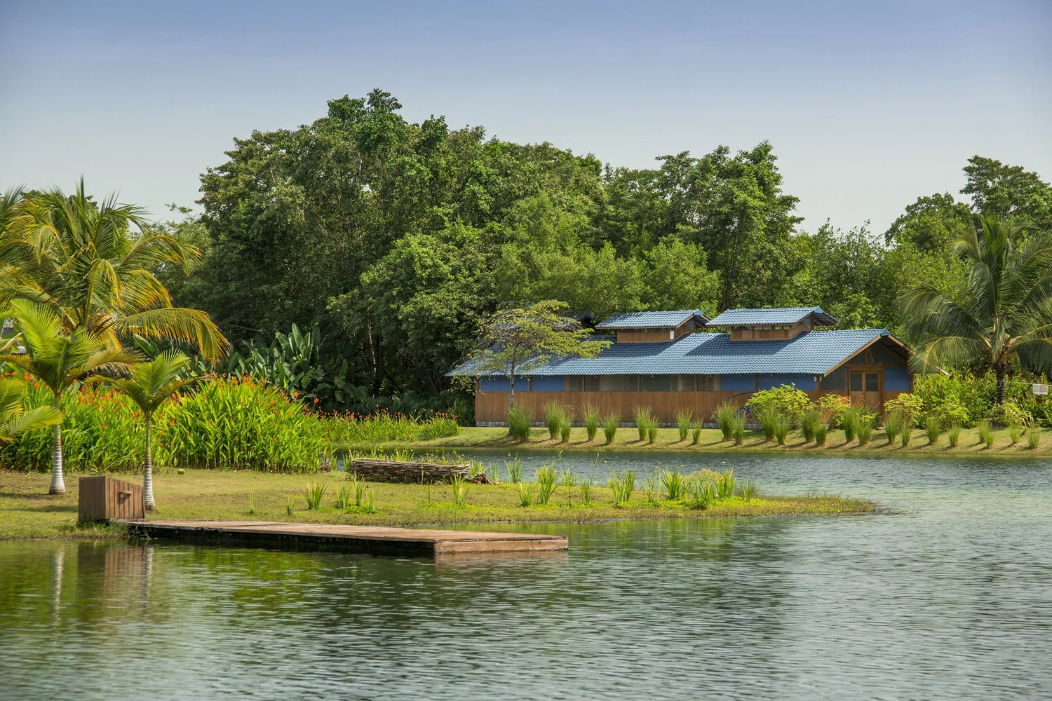 Gallery 1 — Sweet Bocas