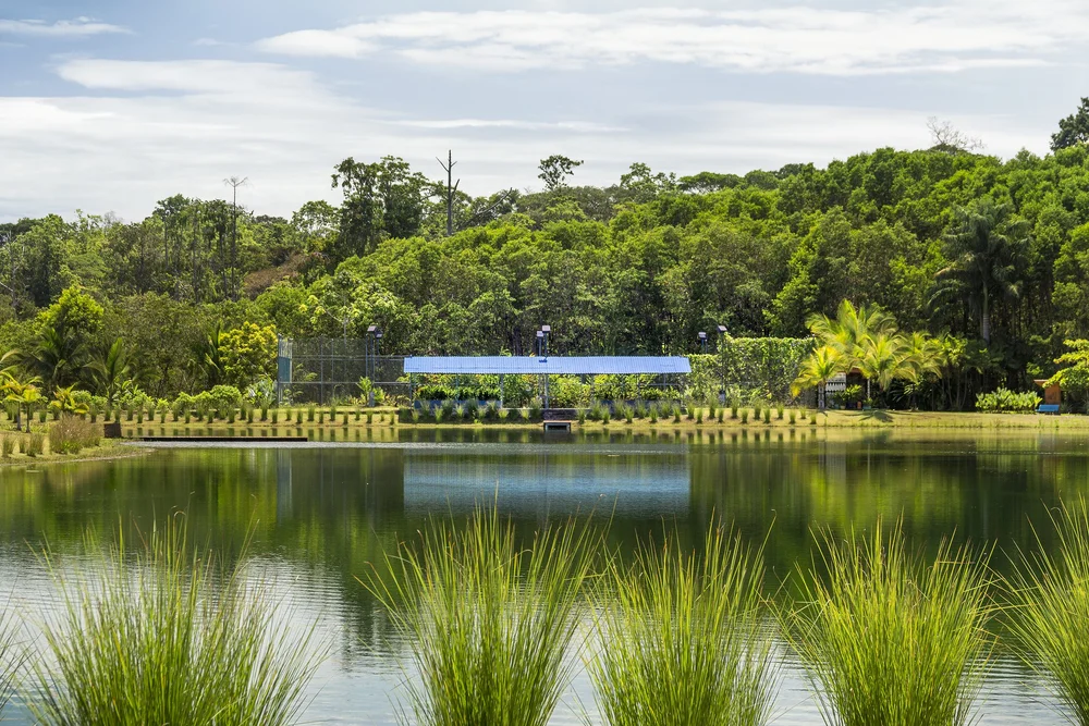 Gallery 1 — Sweet Bocas