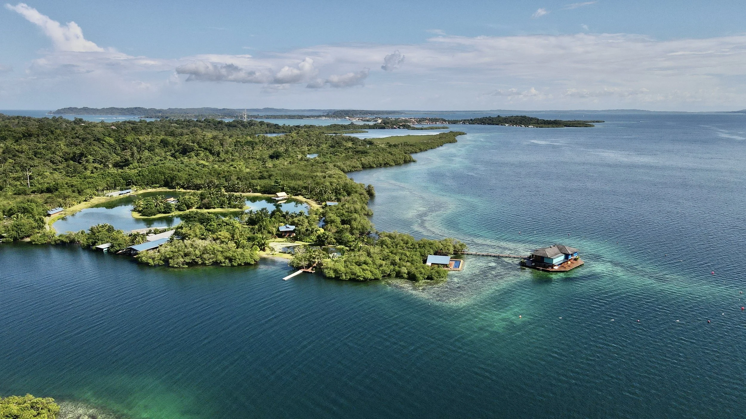Gallery 1 — Sweet Bocas