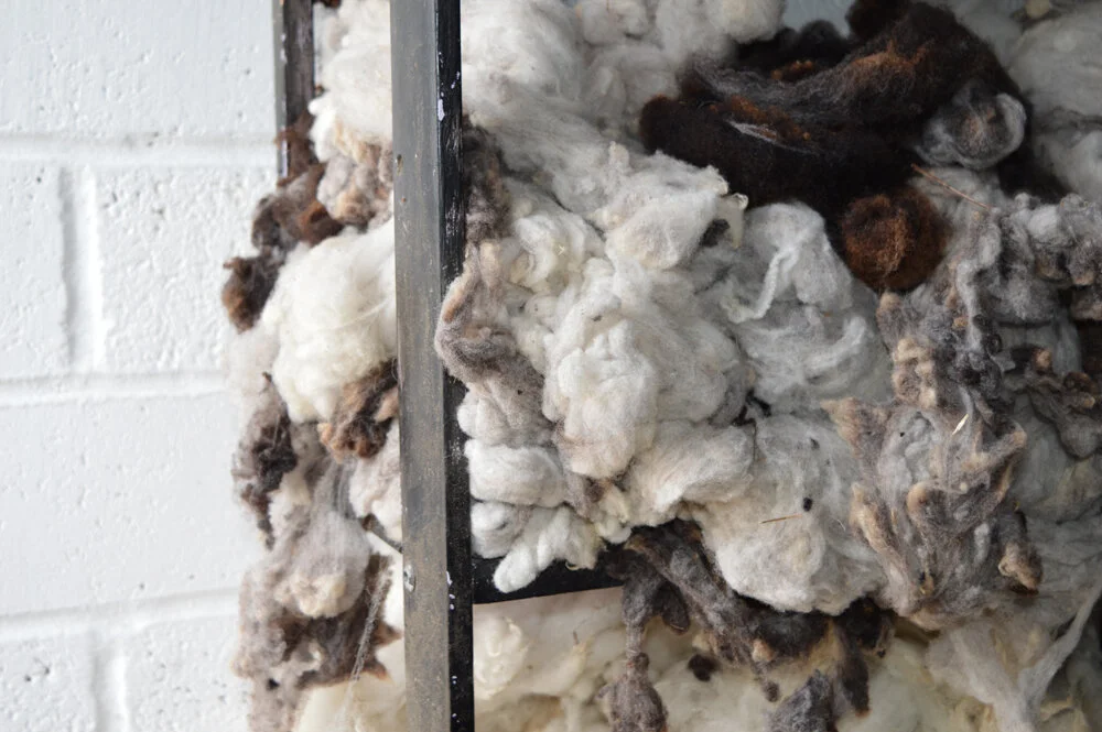 Heritage | Explore Wool, Support Communities — Benridge Woolworks