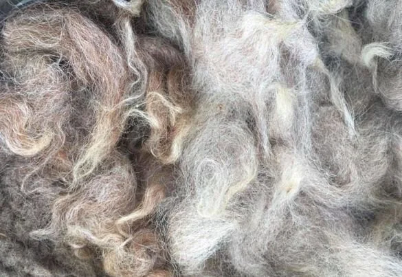 Benridge Woolworks, Wholesale wool, craft supplies, fleece, fleeces