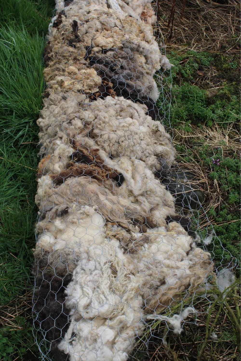 Store 2 — Benridge Woolworks